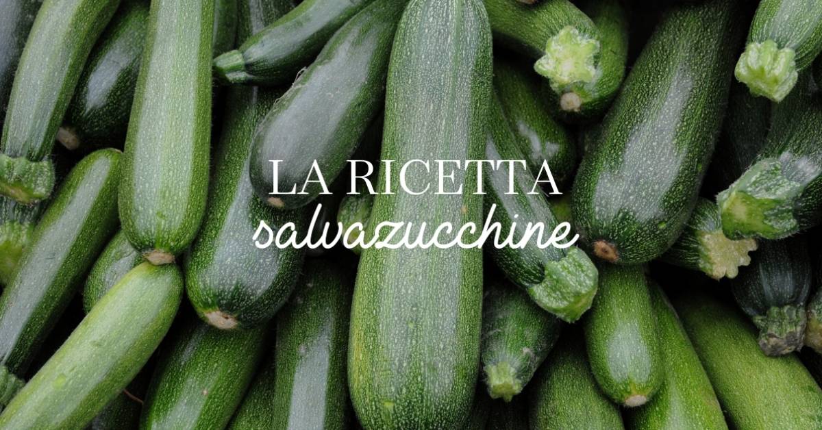 Ricetta zucchini bread di sonia peronaci | Ricette Kenwood Club