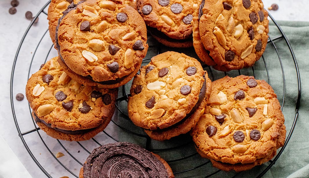 Chocolate Chip Cookies | Kenwood Club
